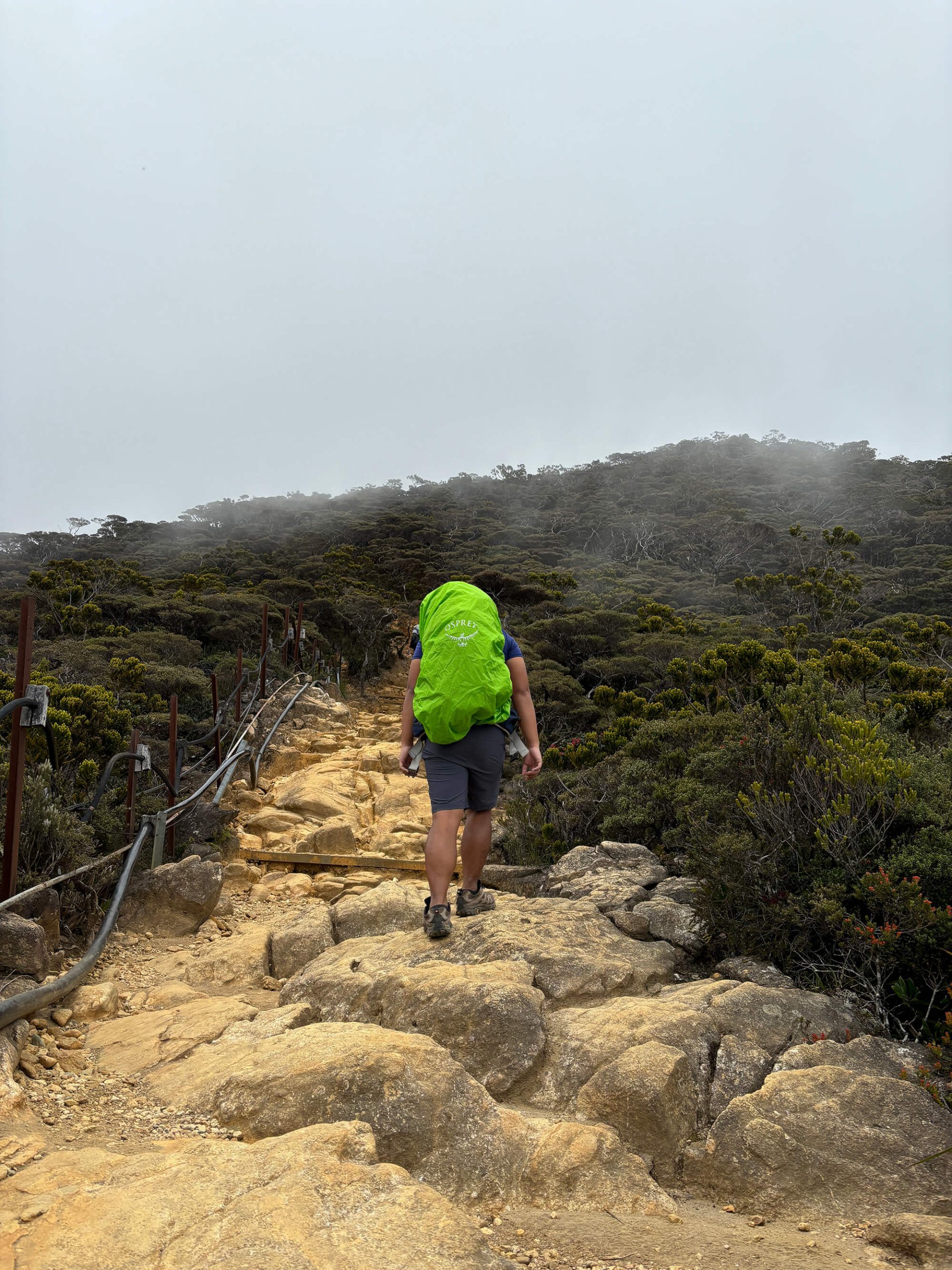 Ultimate Mt Kinabalu Hike Guide (2026) + Incredible Itinerary, Climb ...