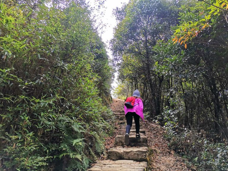 Mt Fansipan Hike Guide (3,143 MASL): How to Reach Vietnam’s Highest Peak