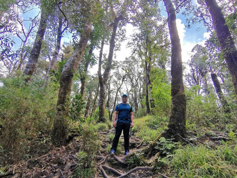 Mt Fansipan Hike Guide (3,143 MASL): How to Reach Vietnam’s Highest Peak