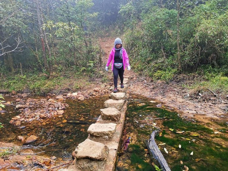 Mt Fansipan Hike Guide (3,143 MASL): How to Reach Vietnam’s Highest Peak